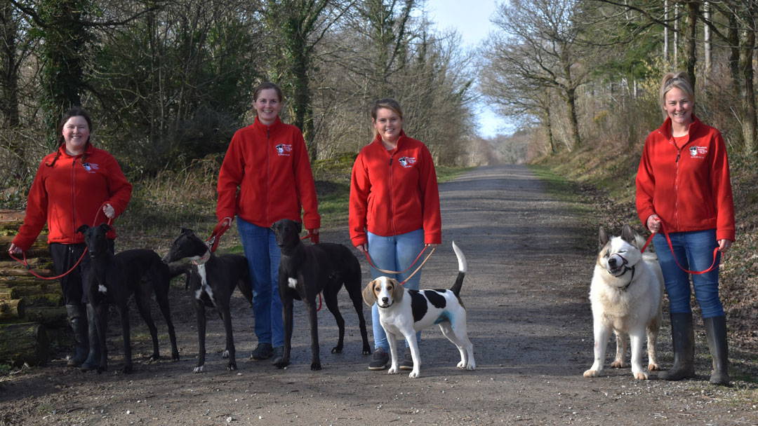 Protect your pet - Woodside Animal Welfare Trust